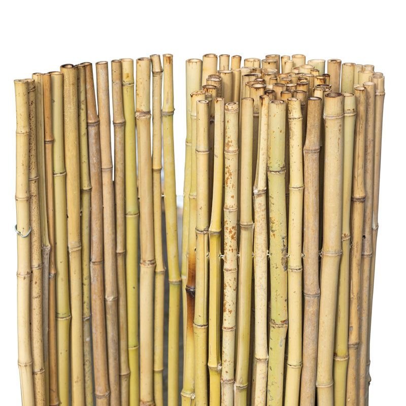 Rouleaux de bambou 180 x 180 cm - 3 cm | Gadero