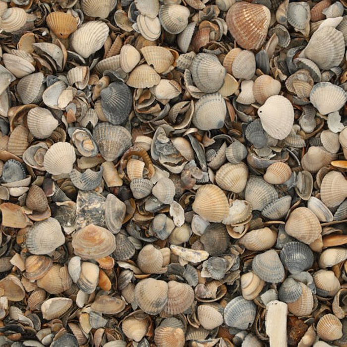 Schelpen grind 8 - 16 mm Decoratie schelpen in zak of big bag