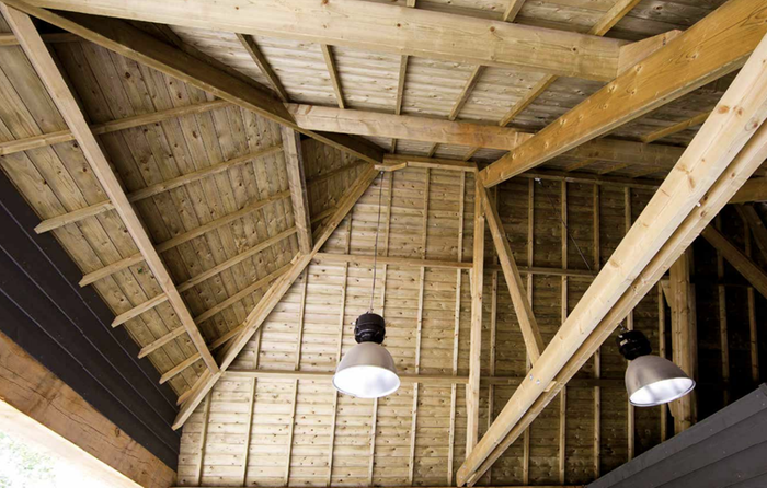 Eased Corner Framing Timber | 45x145mm | Tuin UK