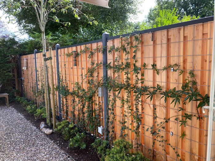Zwarte Planed Larch Fence Panel Range