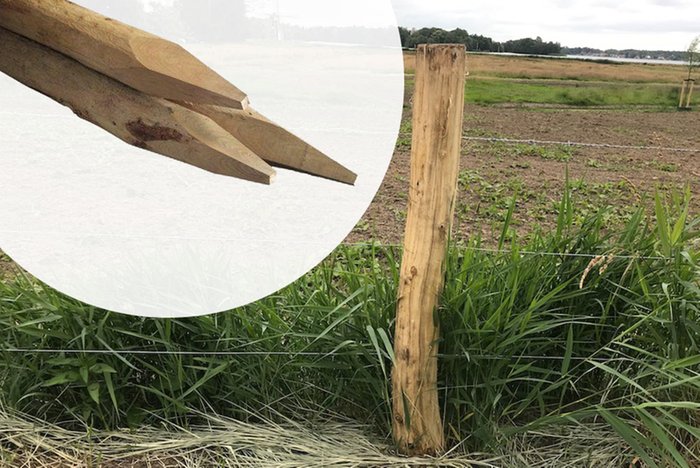 Holzpfahl Edelkastanie 10-12 x 160-300 cm geschalt mit Spitze