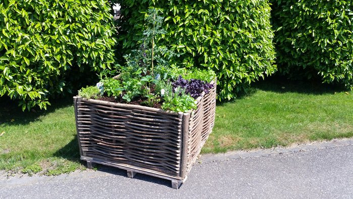 Zelf houten moestuinbak maken Kweekbak van hout bouwen - Gadero